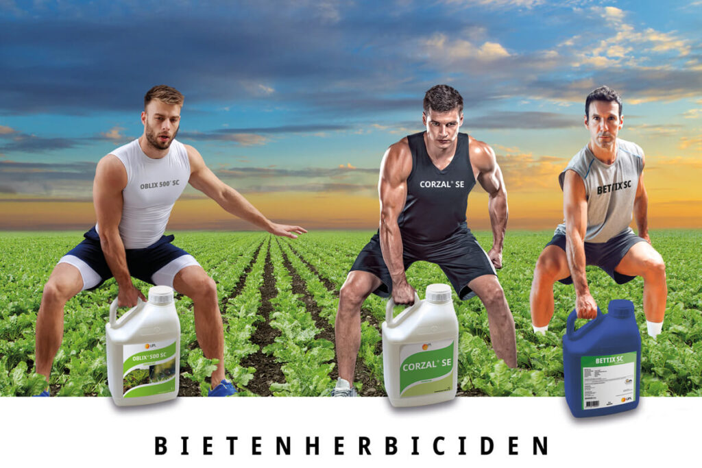 Home | Onkruidbestrijdingbieten.nl